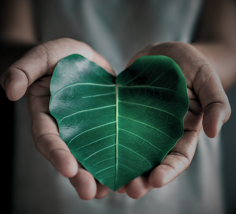 Scandinavian Eco - Ekologiskt Utan Tjafs